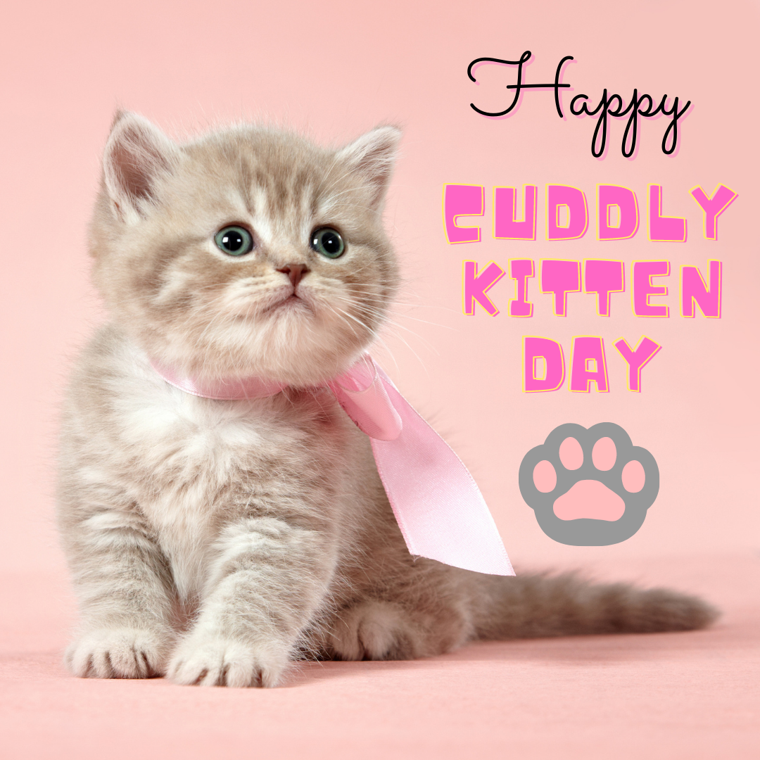 Pup Squad Membership Library - Pawsitive Dog Mom